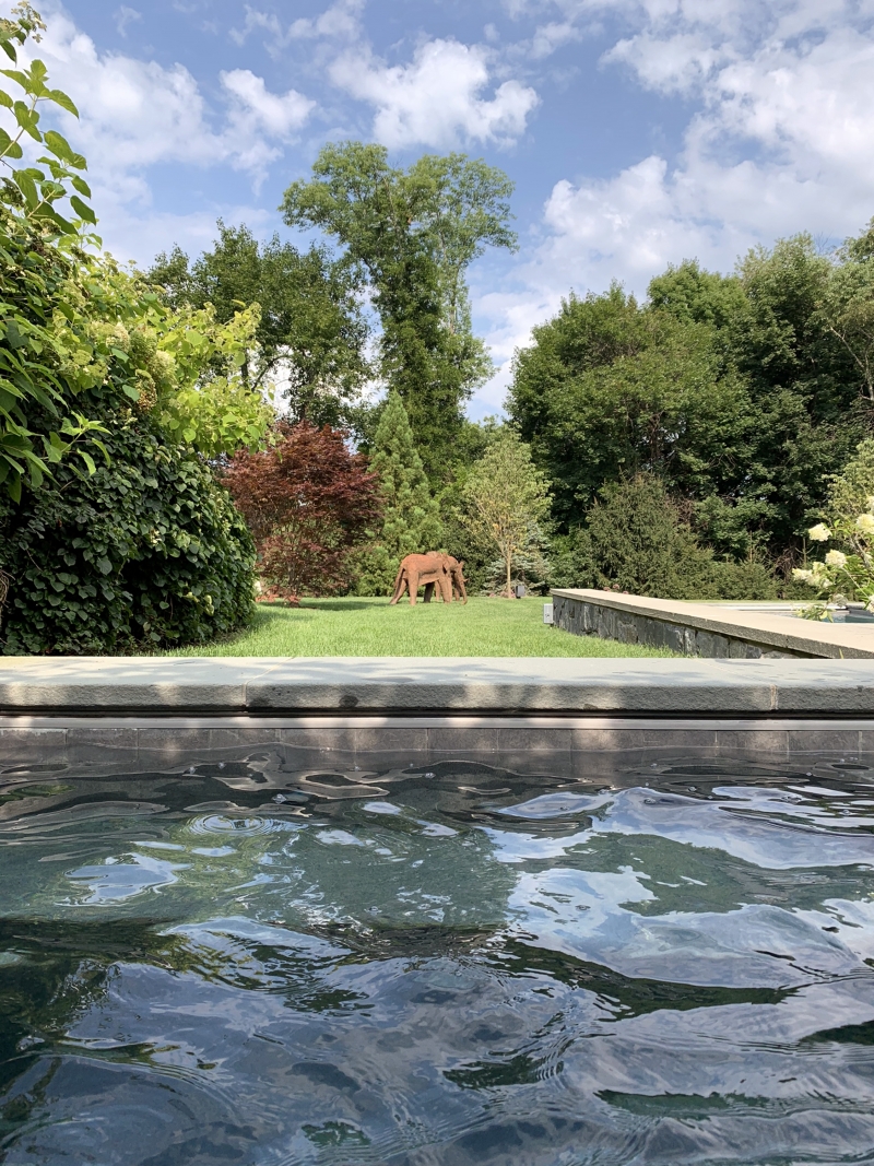 CAMPFIRE POOL - AW4B